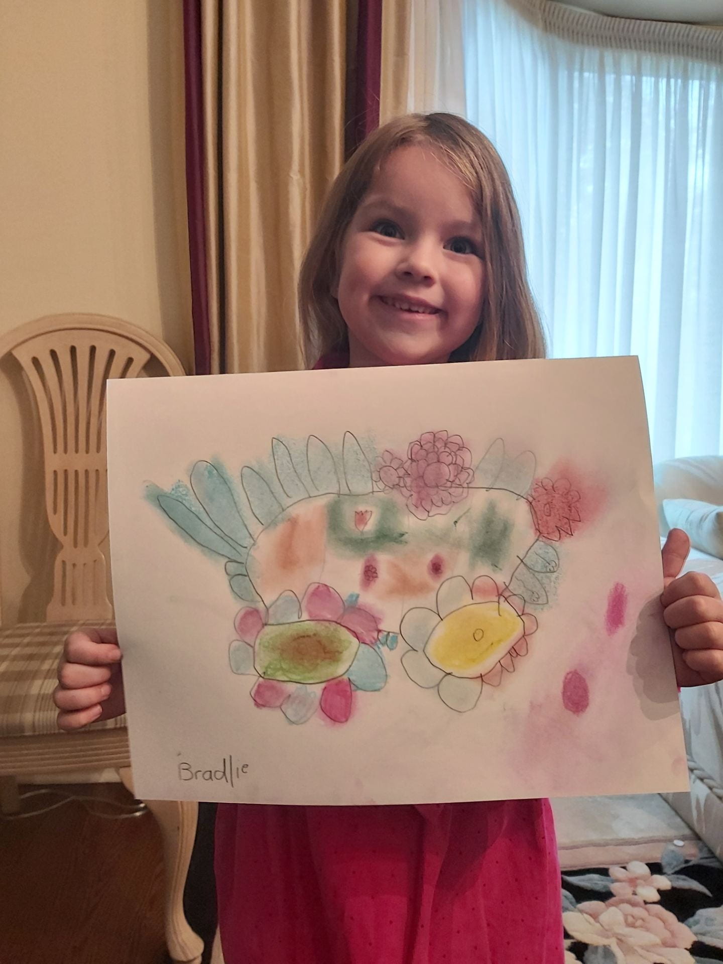 OJCS Storytime – Crazy Cars! | The OJCS Library